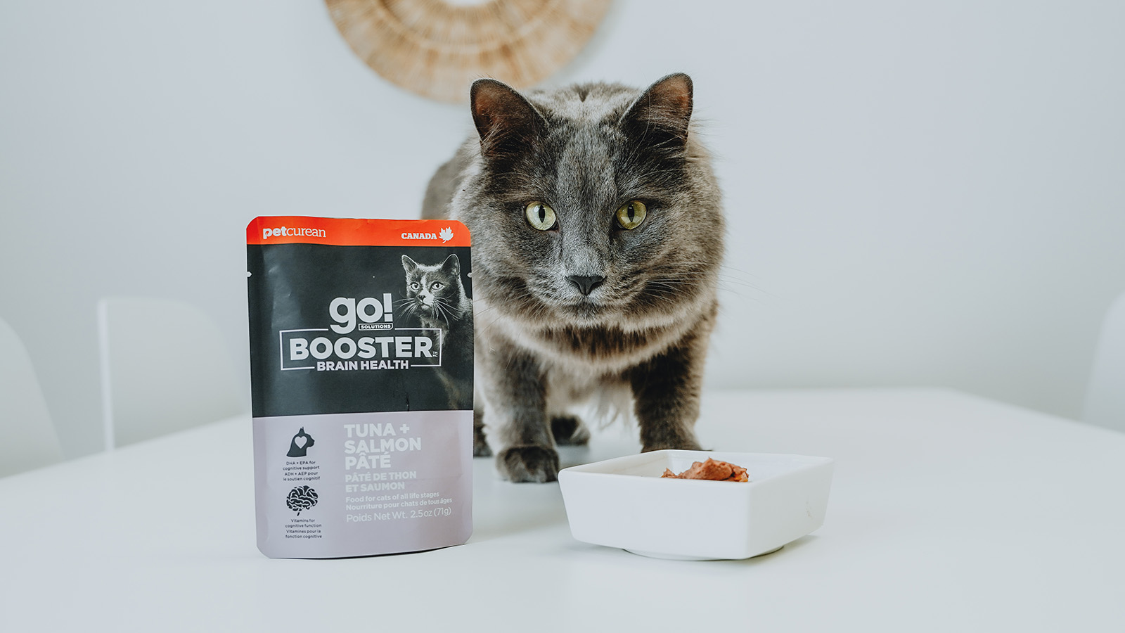 Brain Health Tuna + Salmon Pâté Cat Food Topper | Go! Solutions