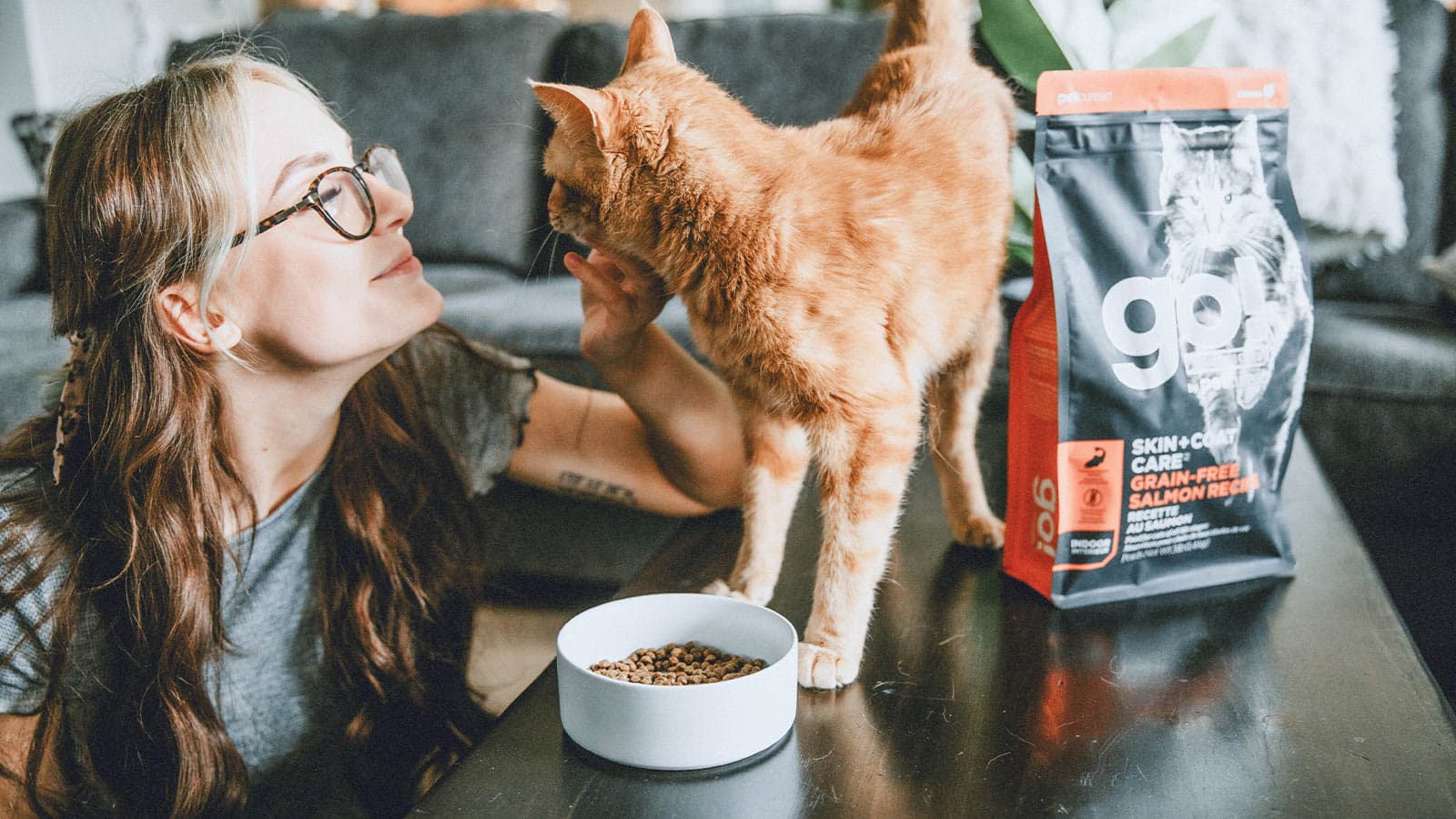 How to Choose the Best Cat Sitter | Go! Solutions