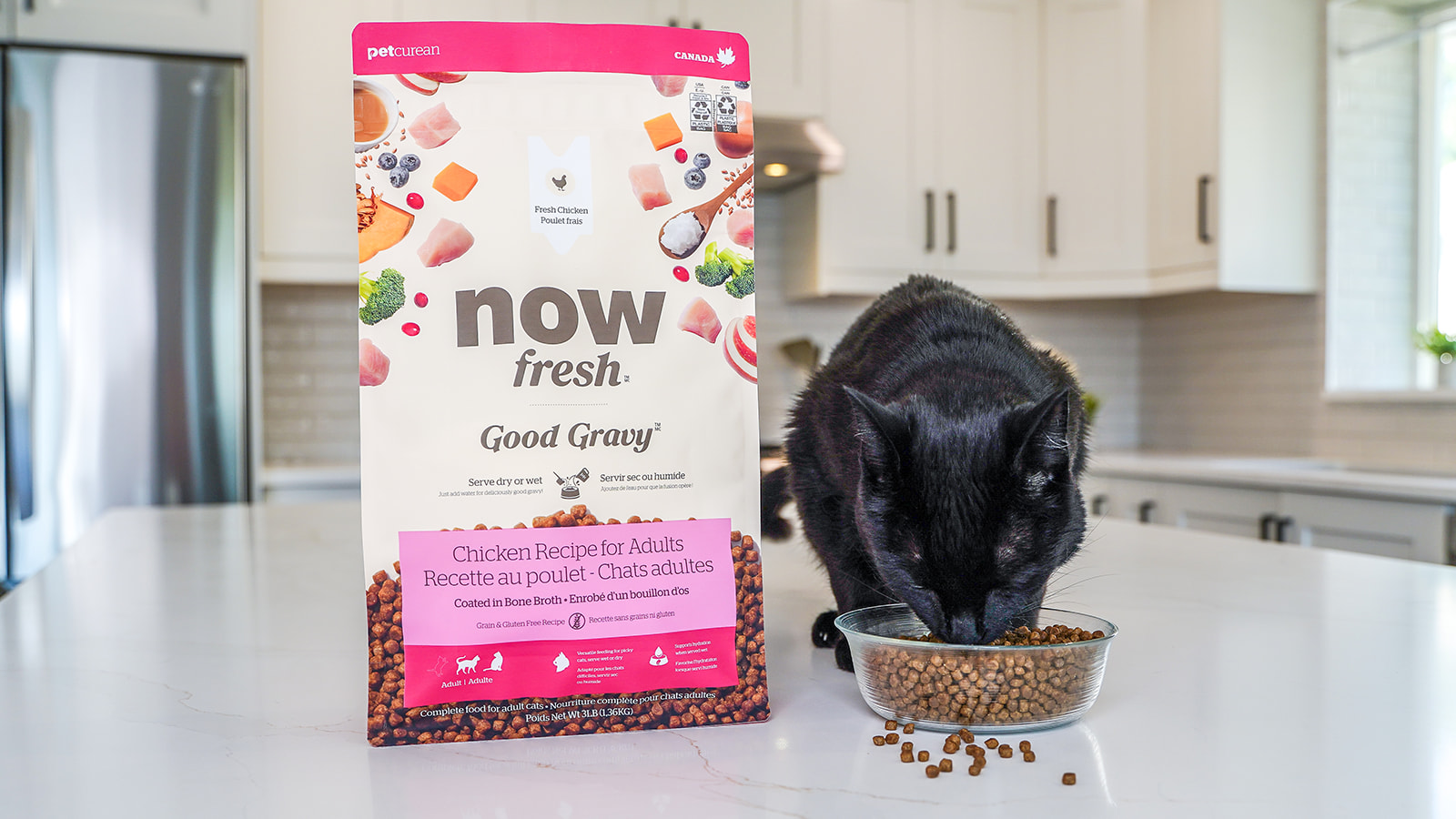 Recyclable Cat Food Packaging | Now Fresh