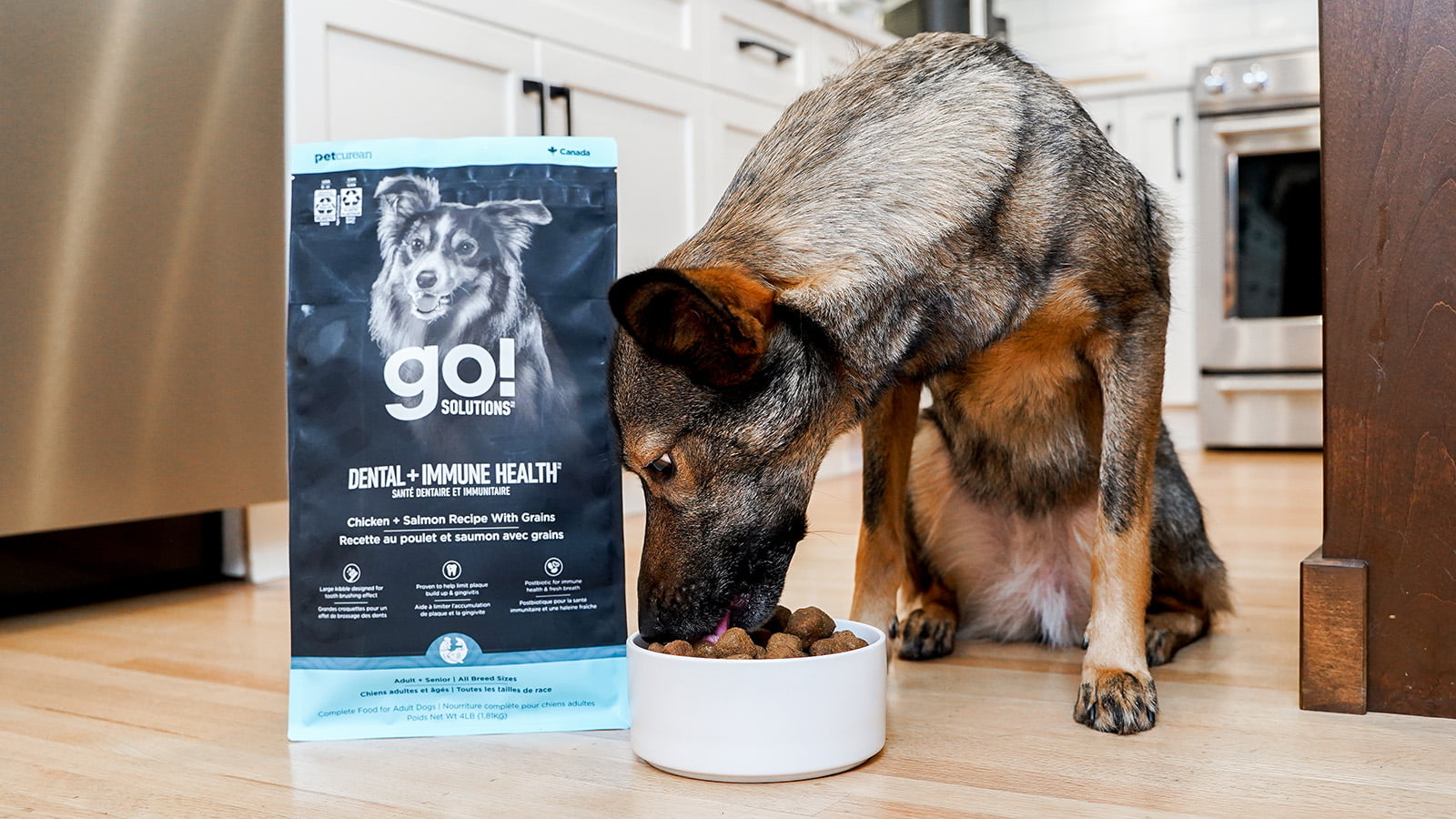 Helps Reduce Dogs' Bad Breath | Go! Dental + Immune Health