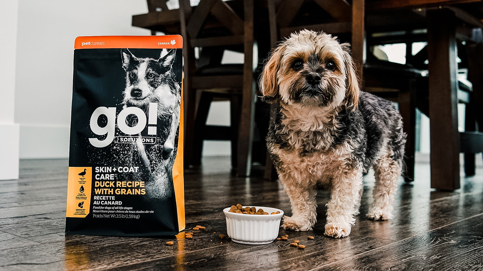 Go with Go! Solutions | Dog Recipes