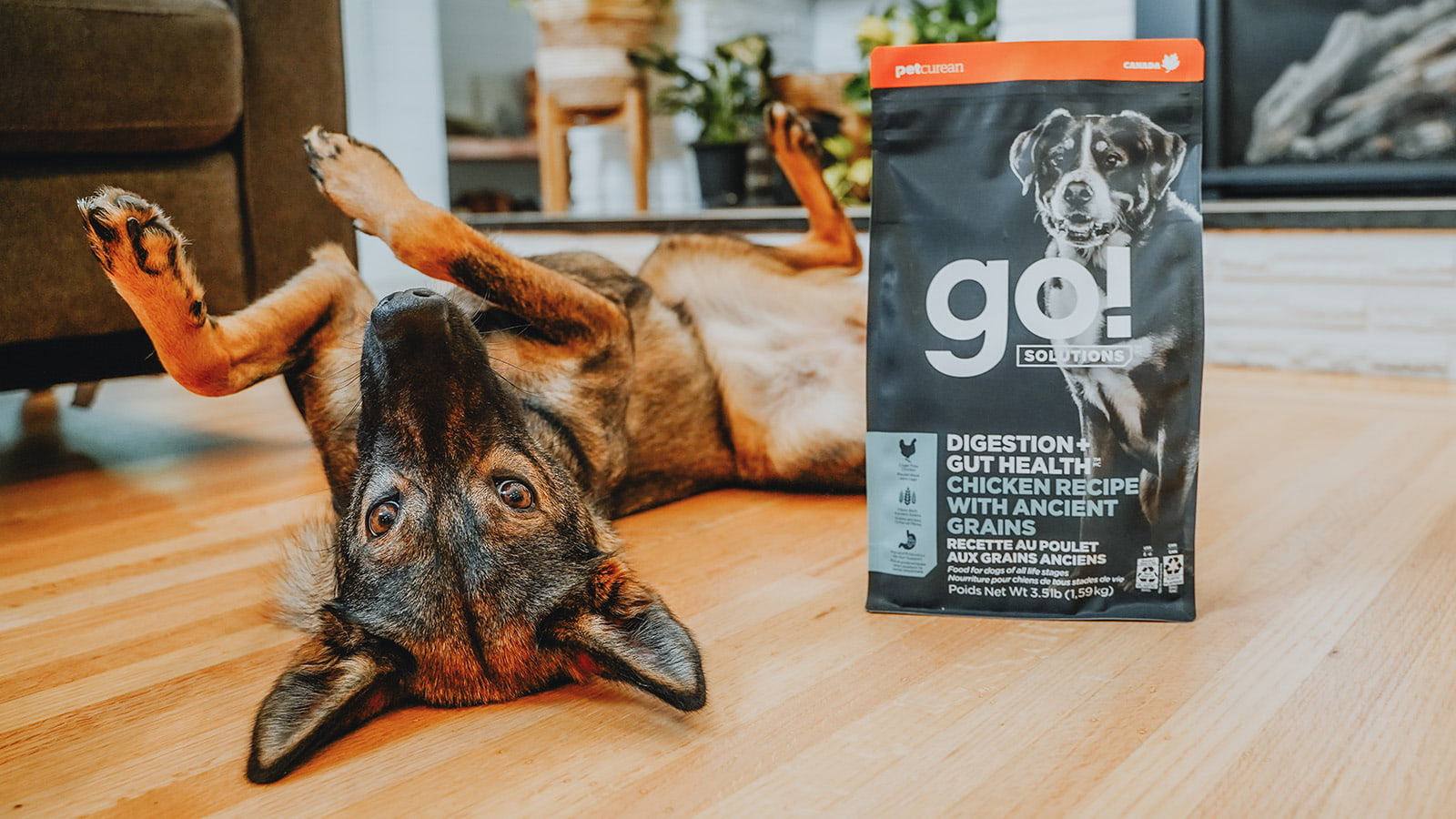 Product Results | Go! Solutions