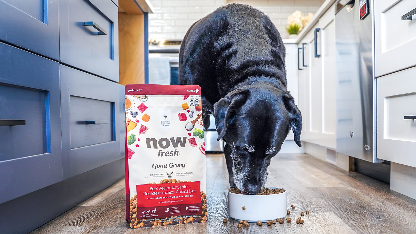Good Gravy Beef Senior Dry Dog Food Coated in Bone Broth | Now Fresh