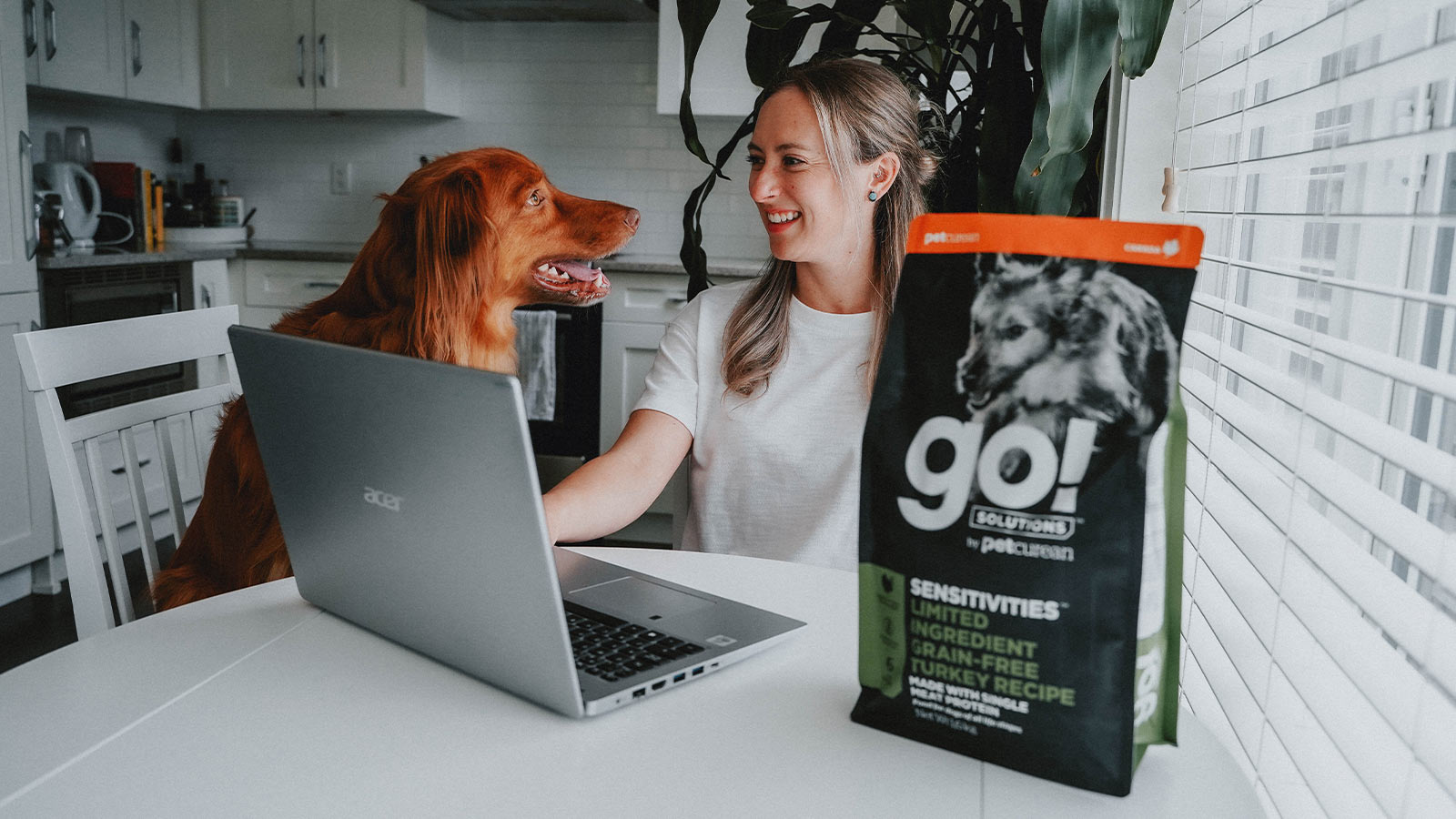 Tips for Working From Home with Your Dog | Go! Solutions