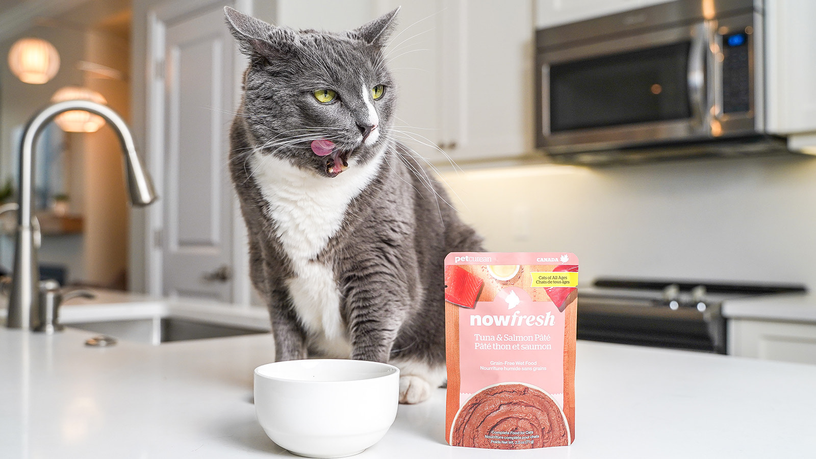 Tuna & Salmon Pâté Grain-Free Wet Cat Food | Now Fresh