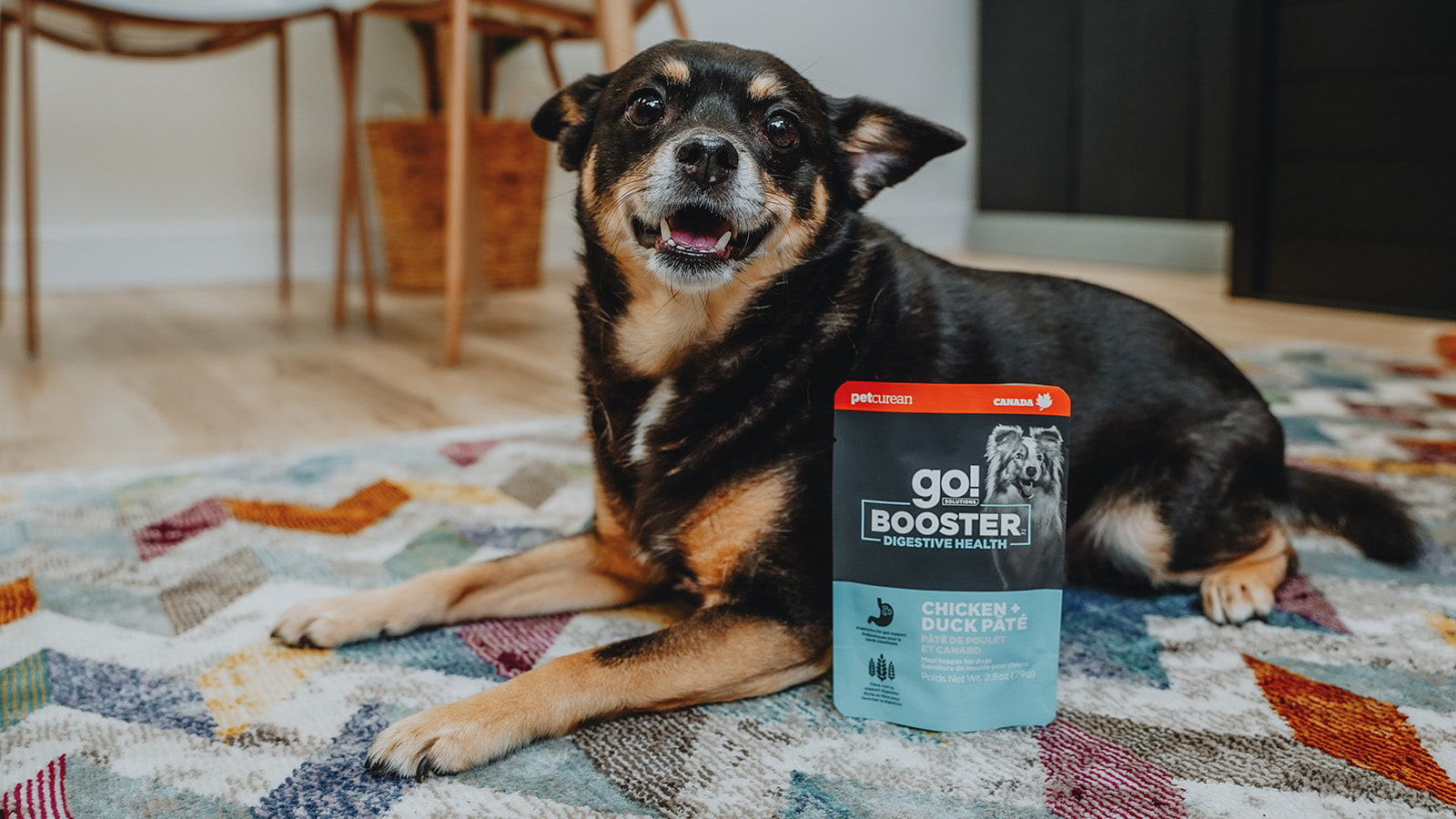 Garniture Santé digestive au pâté de poulet + canard pour chiens | Go ...