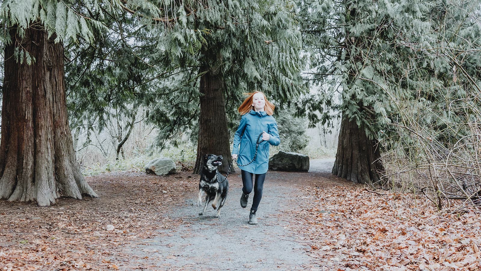 10 Fun and Easy Ways to Exercise Your Dog | Go! Solutions