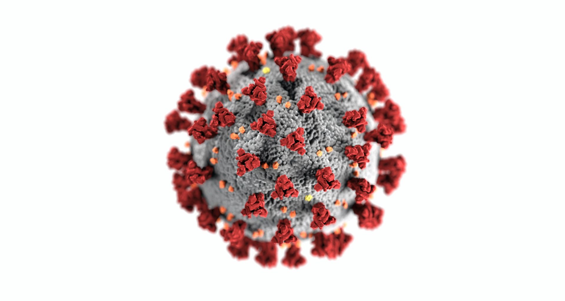 COVID Vaccine: Safety, Distribution & Frequently Asked Questions | Curative