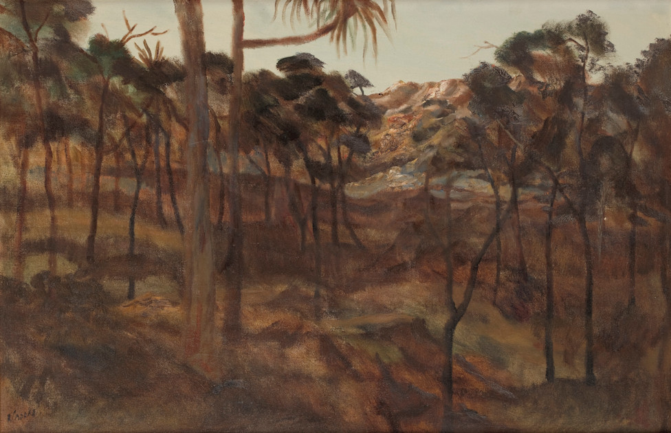 Ray Crooke Estate, Rocky landscape, Cape York — Artwork — Philip Bacon ...