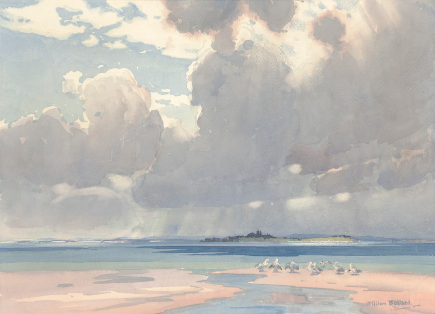 William Bustard, Pelicans, North Coast — Artwork — Philip Bacon Galleries