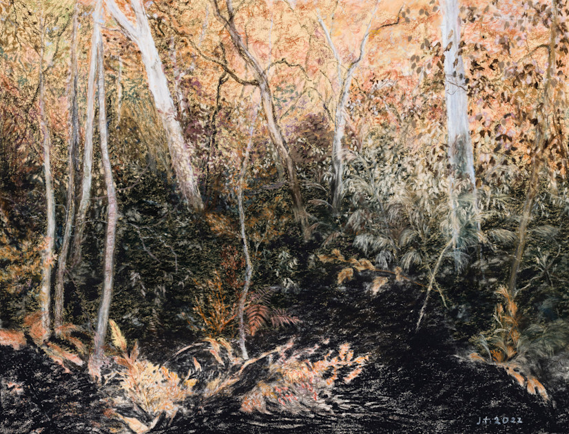 June Tupicoff, After the blaze — Artwork — Philip Bacon Galleries
