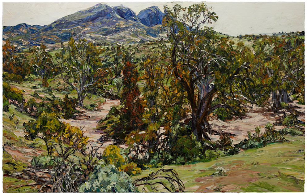 Nicholas Harding — Artists — Philip Bacon Galleries