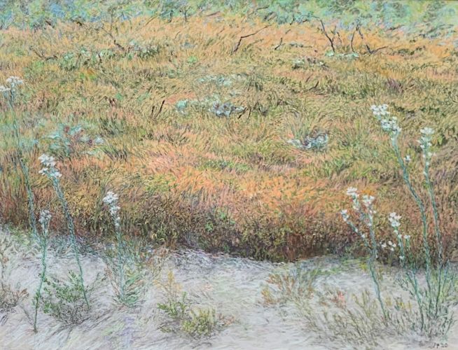 June Tupicoff — Artists — Philip Bacon Galleries