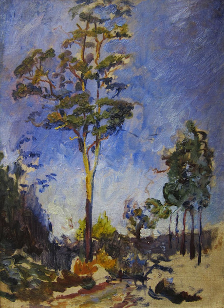 George Coates, Australian landscape — Artwork — Philip Bacon Galleries