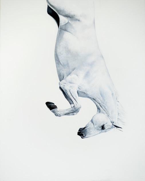 Michael Zavros, Spring/Fall White — Summer Exhibition Exhibition ...