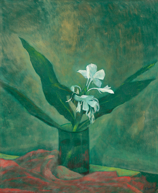Ray Crooke Estate, Tropical lily, Yorkeys Knob — Artwork — Philip Bacon ...