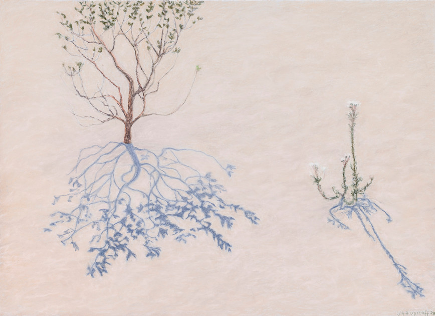 June Tupicoff, Strange sand-fellows — Artwork — Philip Bacon Galleries