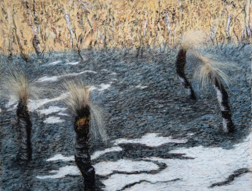 June Tupicoff, Grass trees — Artwork — Philip Bacon Galleries