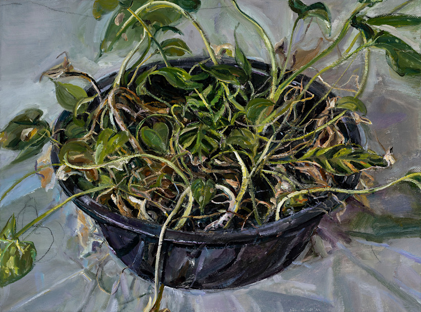 Lewis Miller, Two plants — Artwork — Philip Bacon Galleries