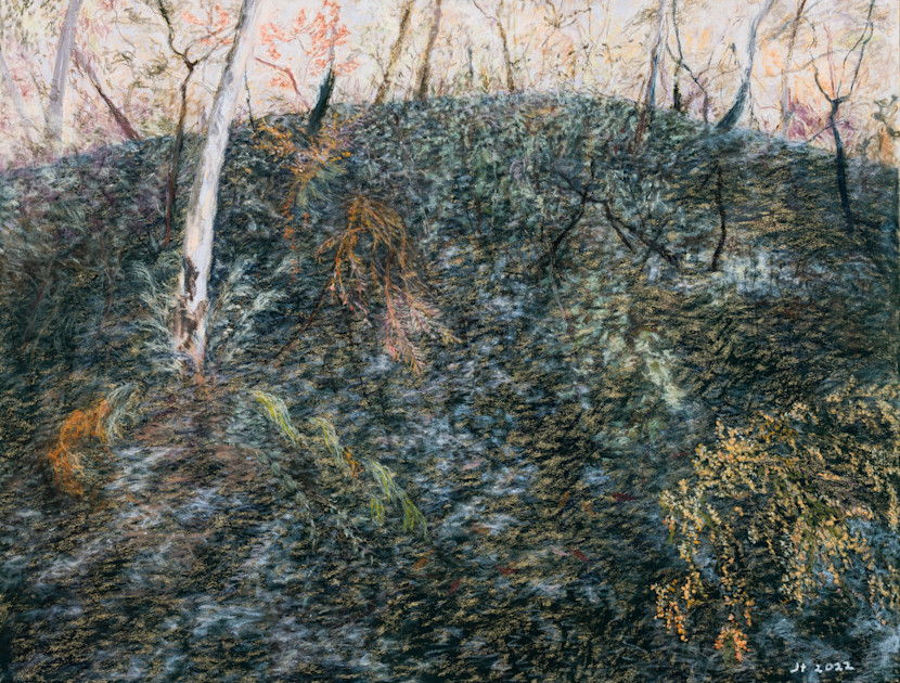 June Tupicoff, Curve of the land — Artwork — Philip Bacon Galleries