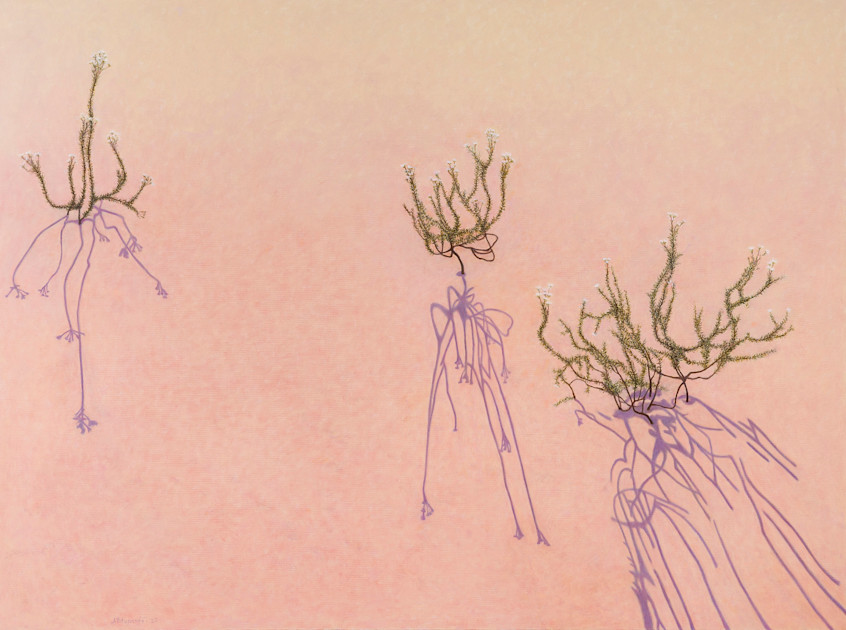 June Tupicoff, Friends worshipping the sun — Artwork — Philip Bacon ...