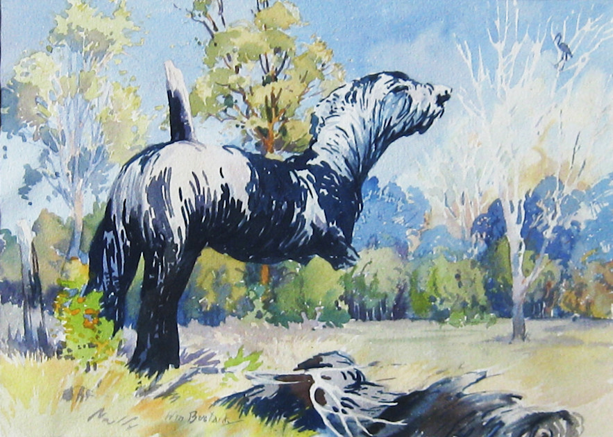 William Bustard, Landscape with burnt out stump — Artwork — Philip ...