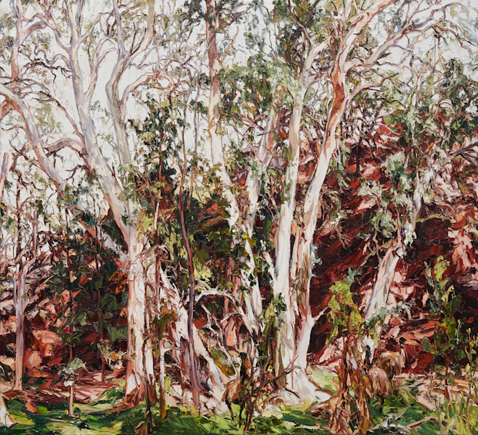 Nicholas Harding, Wilpena landscape with emus — Artwork — Philip Bacon ...