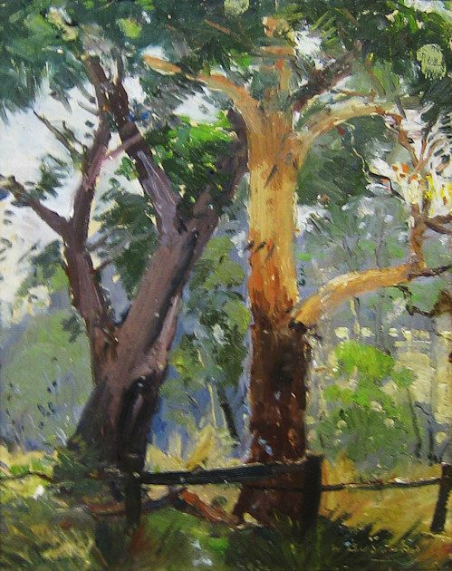 William Bustard, Landscape near Brisbane — Artwork — Philip Bacon Galleries