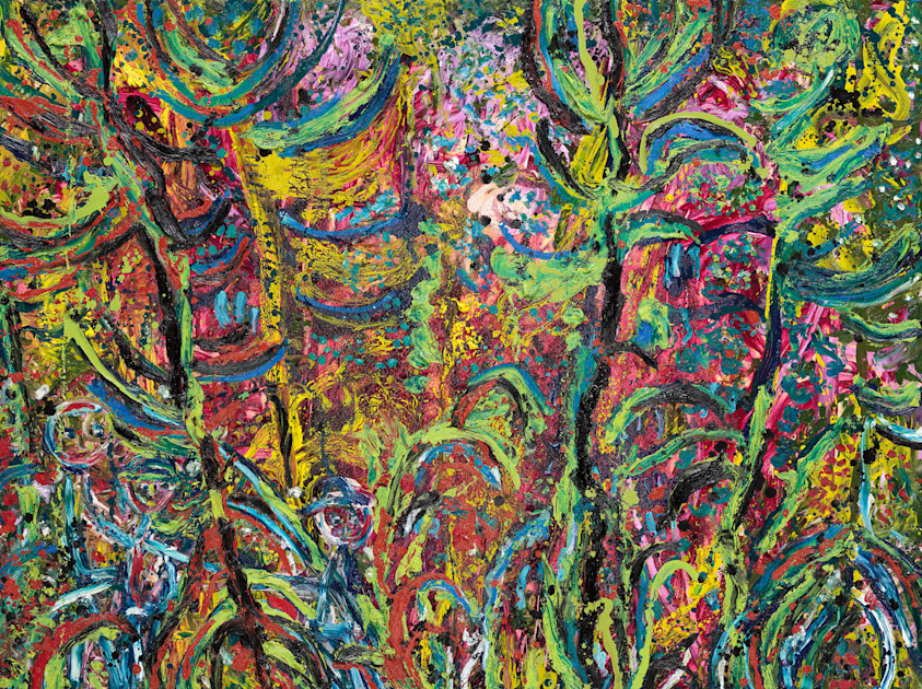 Davida Allen, A family in the middle of Gondwana World Heritage ...