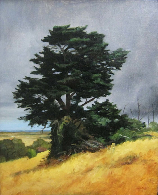 Michael Kelly, The pine tree — Artwork — Philip Bacon Galleries