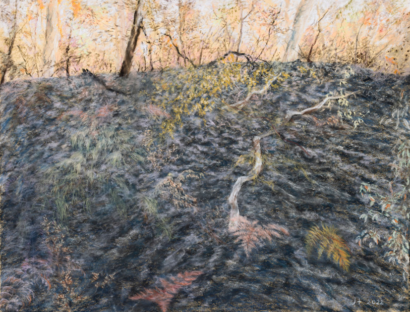June Tupicoff, Light on the horizon — Artwork — Philip Bacon Galleries