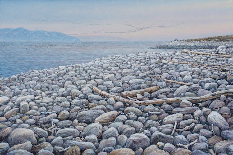 Peter Anderson, Cape Barne, Ross Island — Artwork — Philip Bacon Galleries