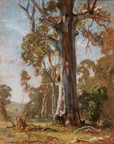 Hans Heysen, The white gum — Artwork — Philip Bacon Galleries