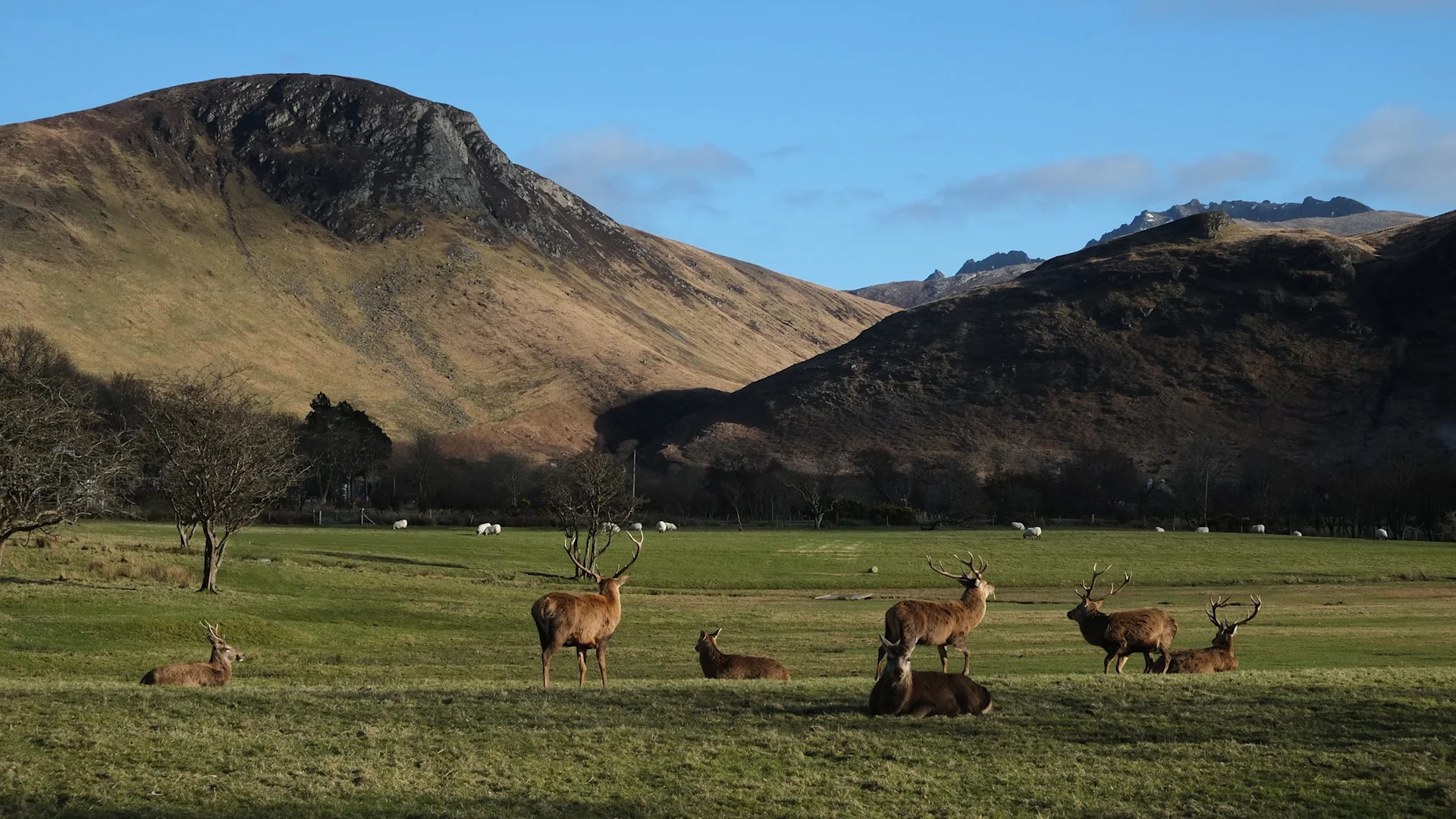 Island Hopping in the Hebrides | HX Hurtigruten Expeditions UK