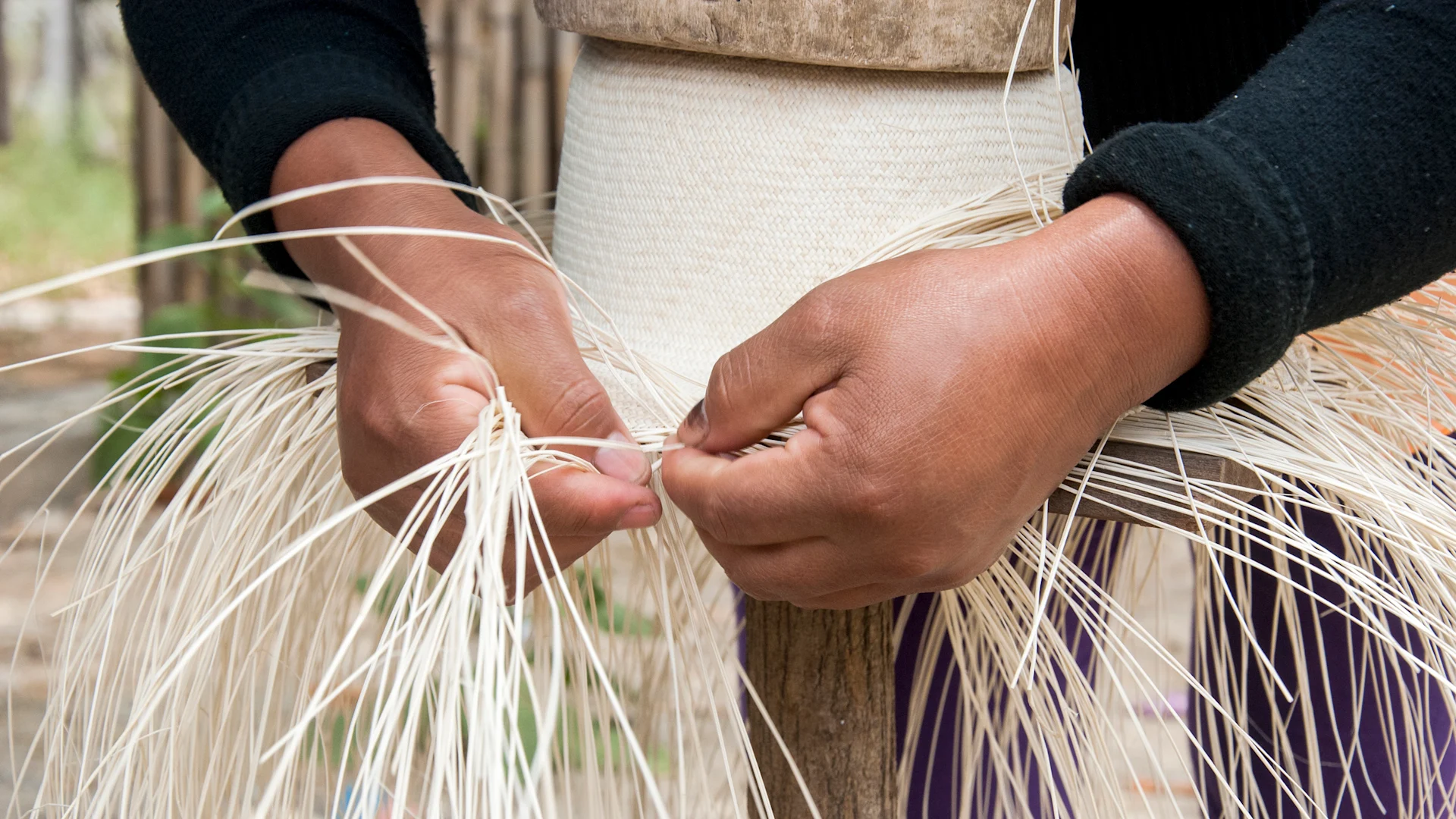 Treasures of the Pacific Coast | Panama to Chile | HX Hurtigruten ...