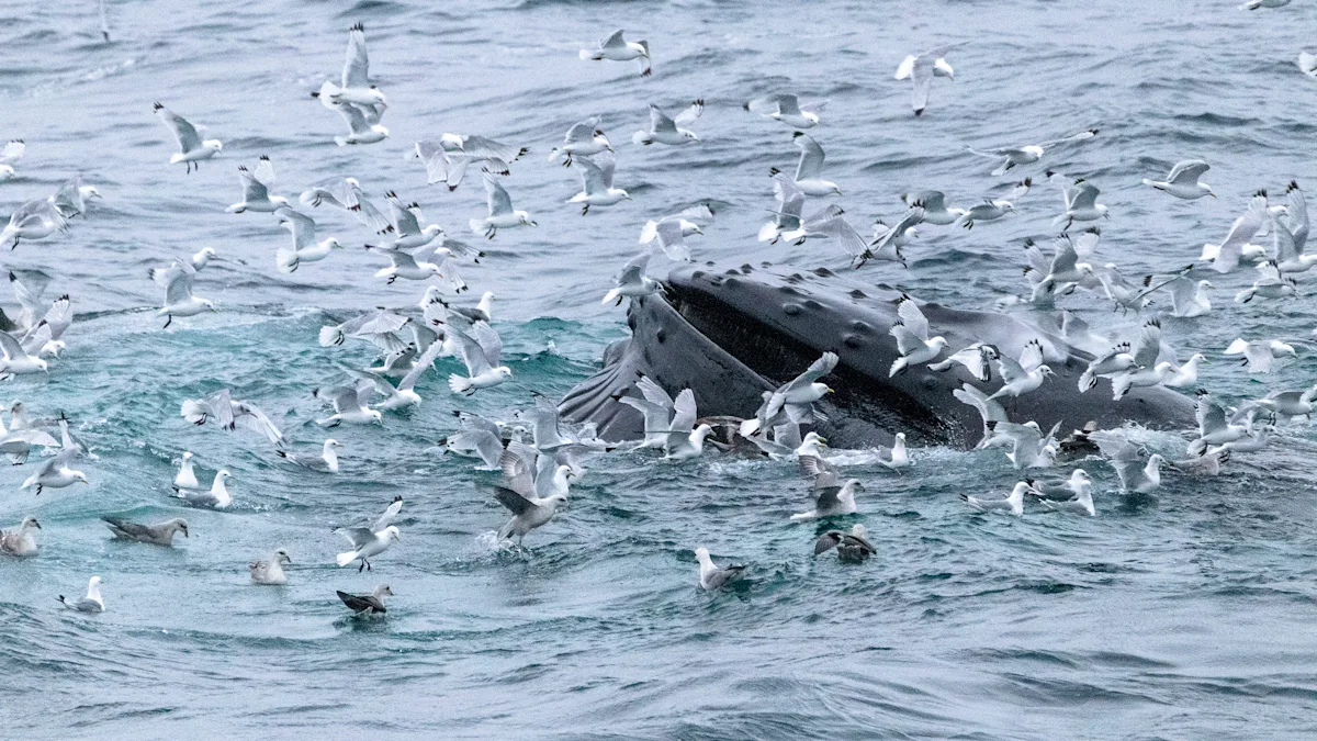 Svalbard in Spring: The Return of the Sun | With extended stay in ...