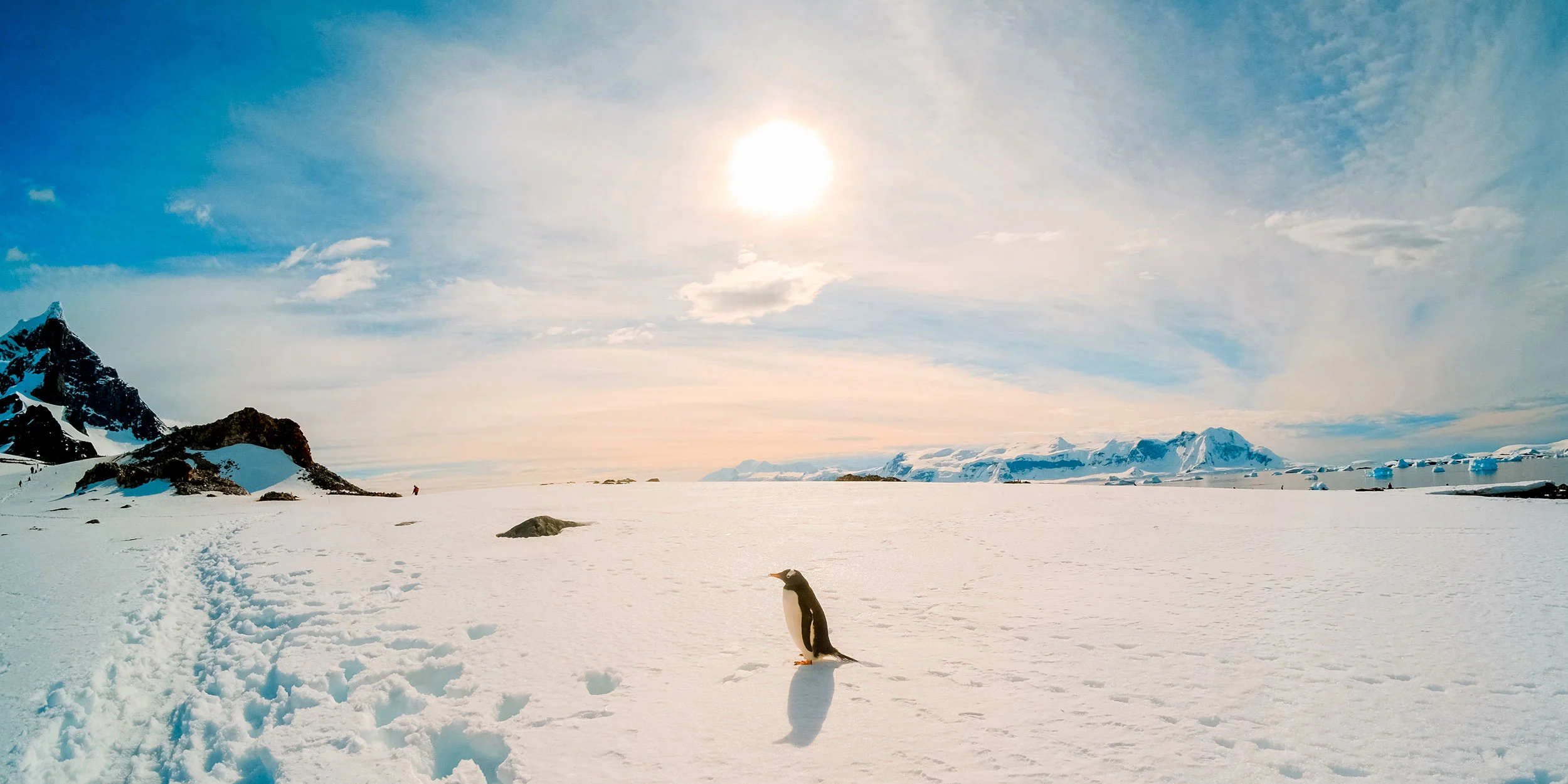 Weather and seasons in Antarctica | HX Hurtigruten Expeditions US
