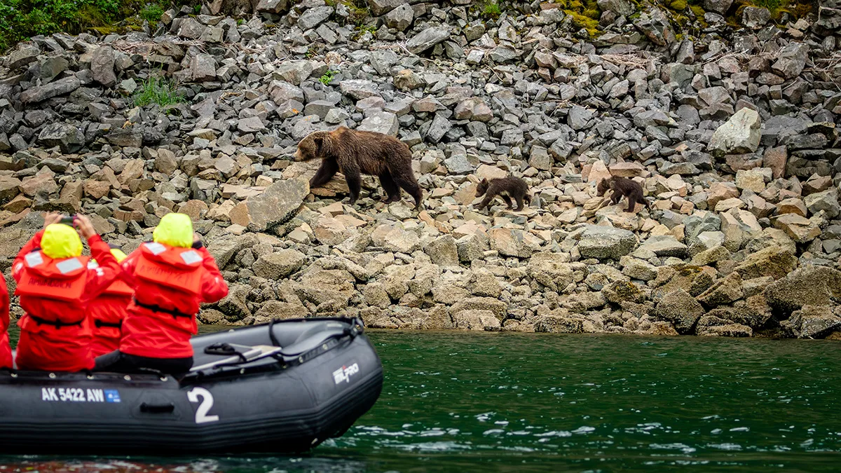 Alaska And British Columbia—inside Passage Bears And Aleutian Islands