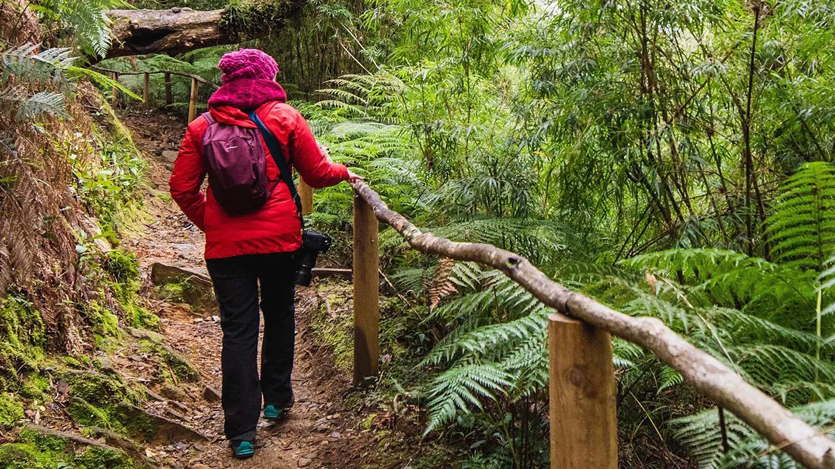 Niebla - Oncol Park - Nature and Volcanoes | HX Hurtigruten Expeditions UK
