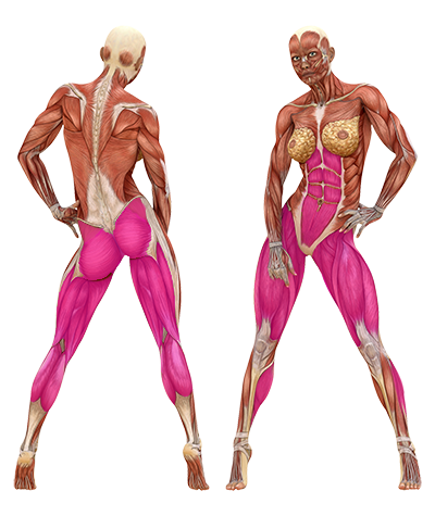 Barbell Split Squat | A Complete Exercise Guide For Women | Lipstick Lifters