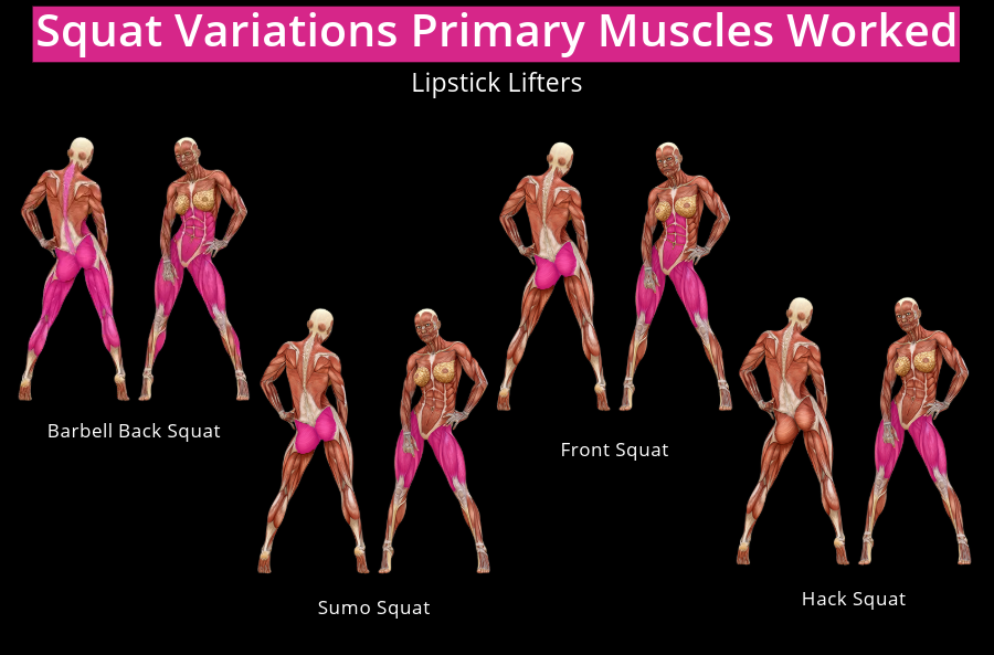 Squats Muscles Worked Do Squats Work Your Abs? Yes! Here's How & Which