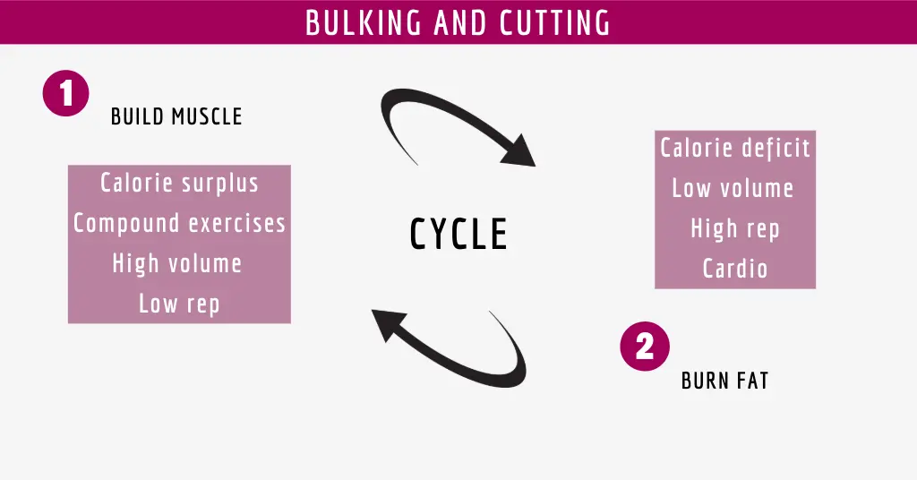 Bulking And Cutting For Women: Body Recomposition By Pros | Lipstick ...