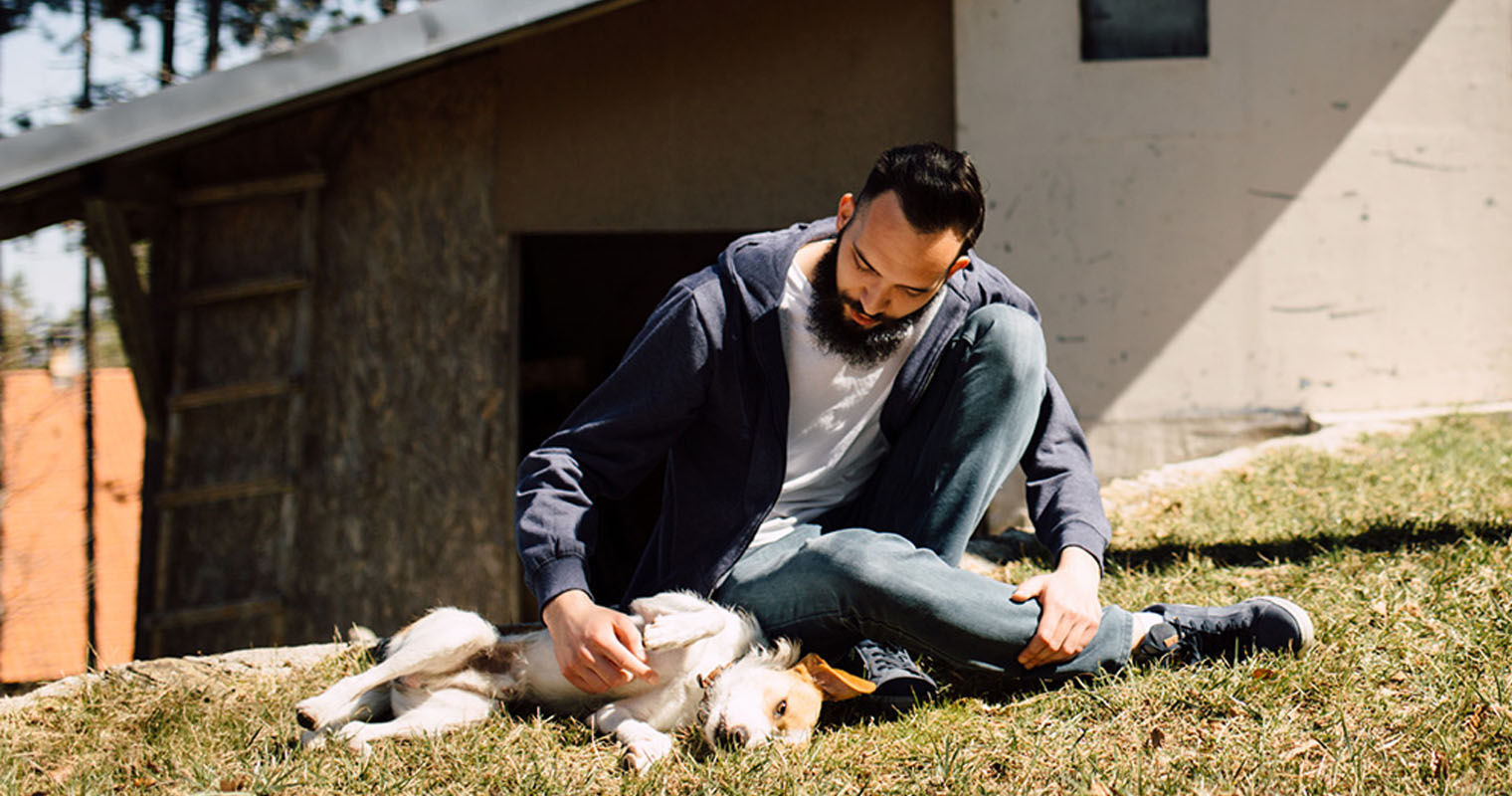 Lost Pets: What To Do If You Find A Lost Pet?