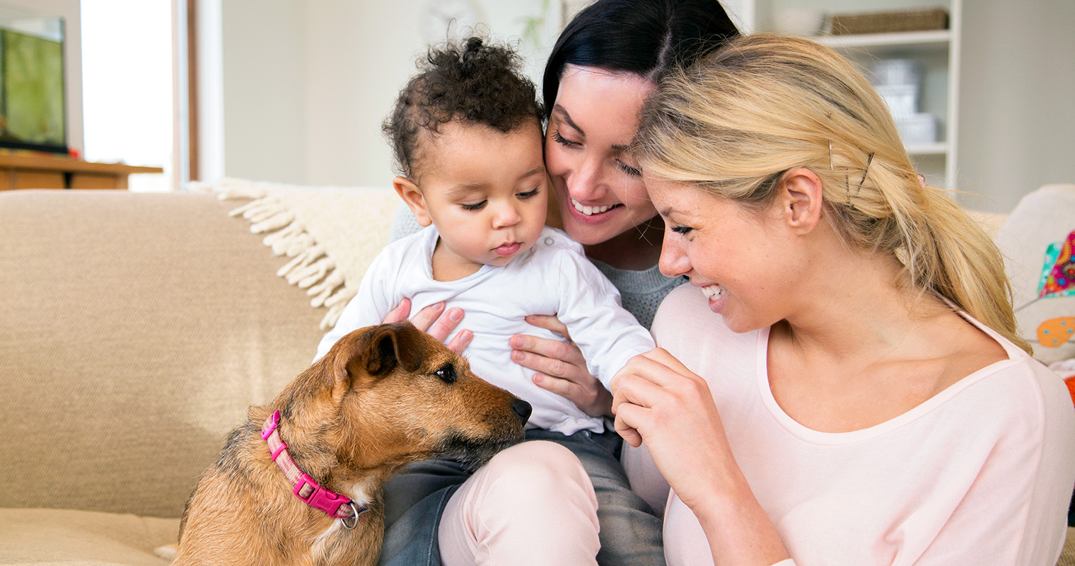 Dogs and Newborns: Simple Steps to Get Your Pup Ready for Your Baby