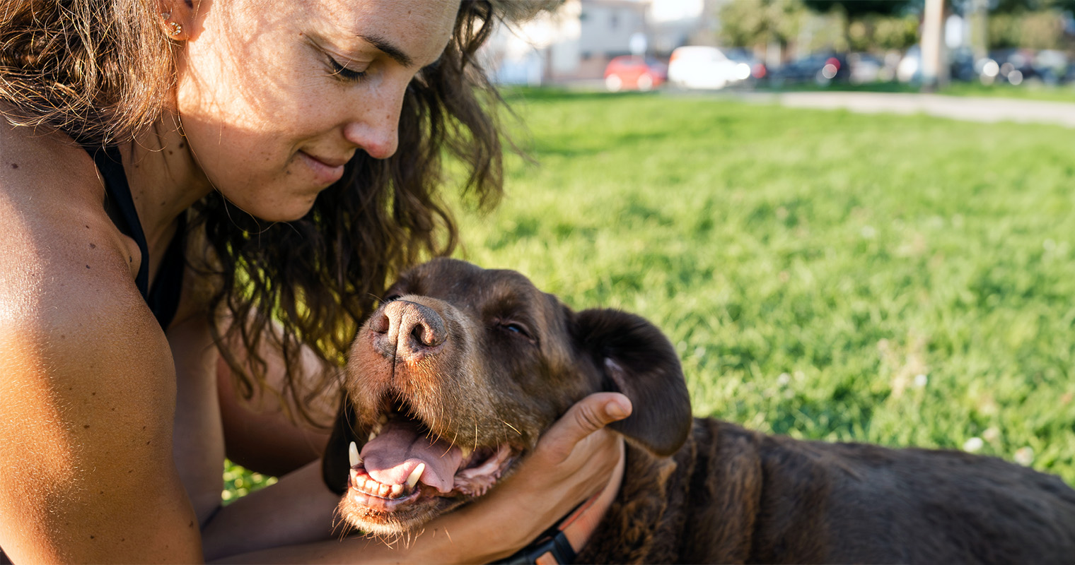 12 Reasons Dogs Make the Best Pets