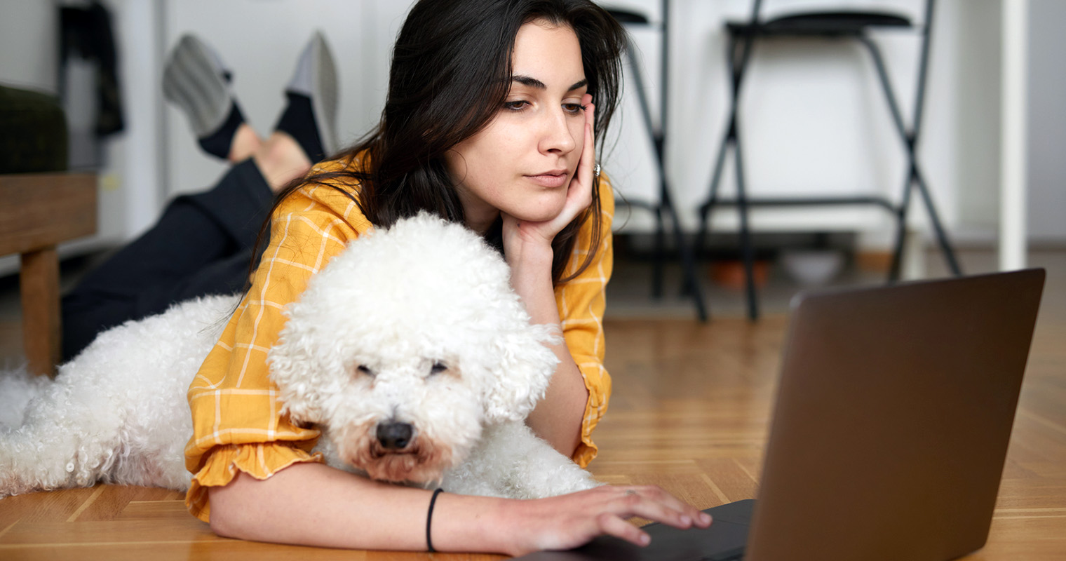 How Can I Find A Home For My Dog?