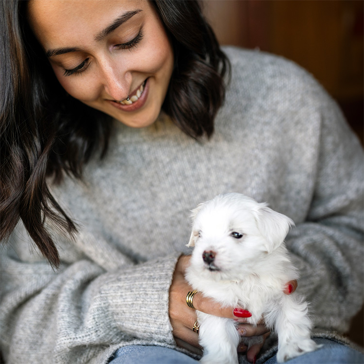 Your Complete Guide to Shots for Dogs and Puppies