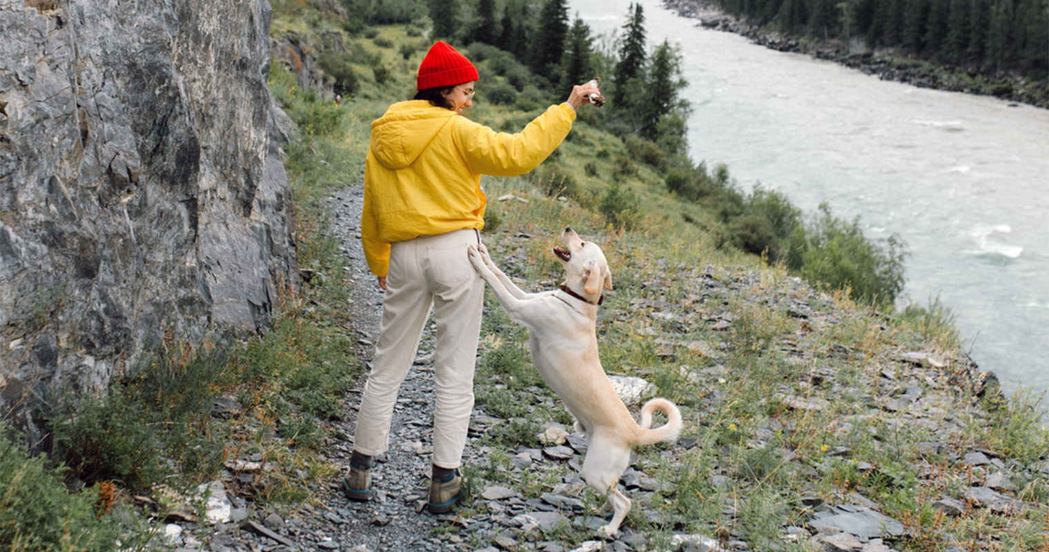 Dog Breeds Who Love the Outdoors: A Guide to Active Companions