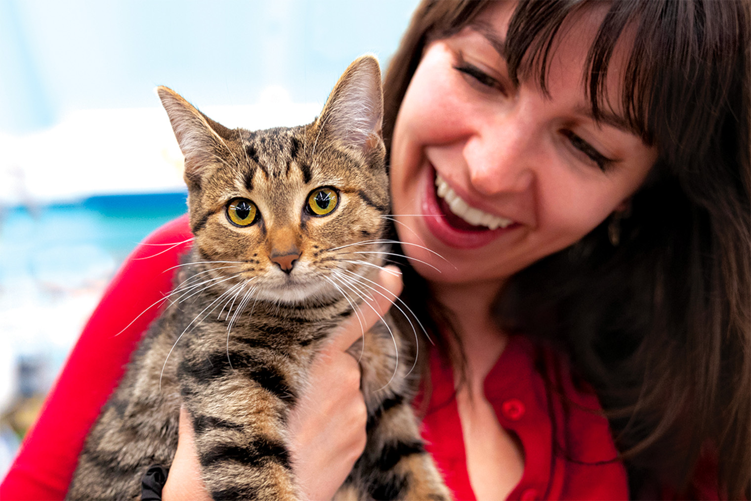 Partnering with PetSmart To Make Pet Rehoming Safer and Easier