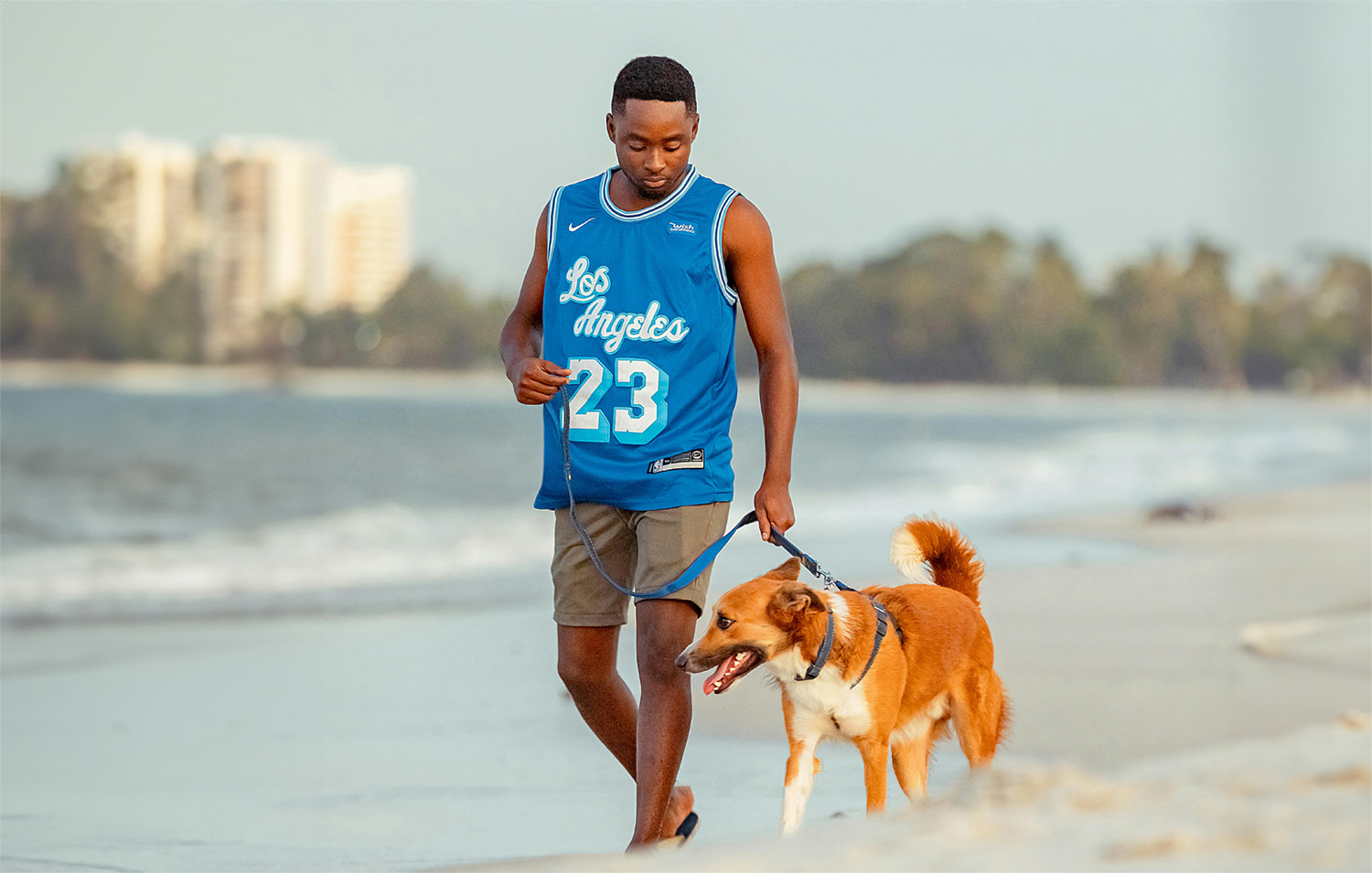 Importance of a Daily Dog Routine & What it Should Look Like